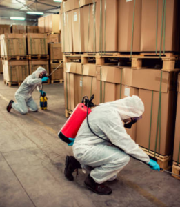 Dead Animal Removal Brisbane - Magic Pest Control