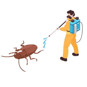 Magic's Pest Control Brisbane Inspections & Solutions